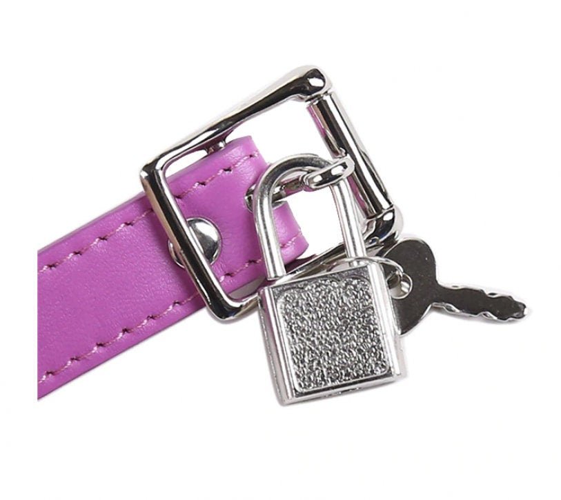 Adult Pacifier Gag Locking Pink - ABDL Dummy Gag - PaddedPawzUK